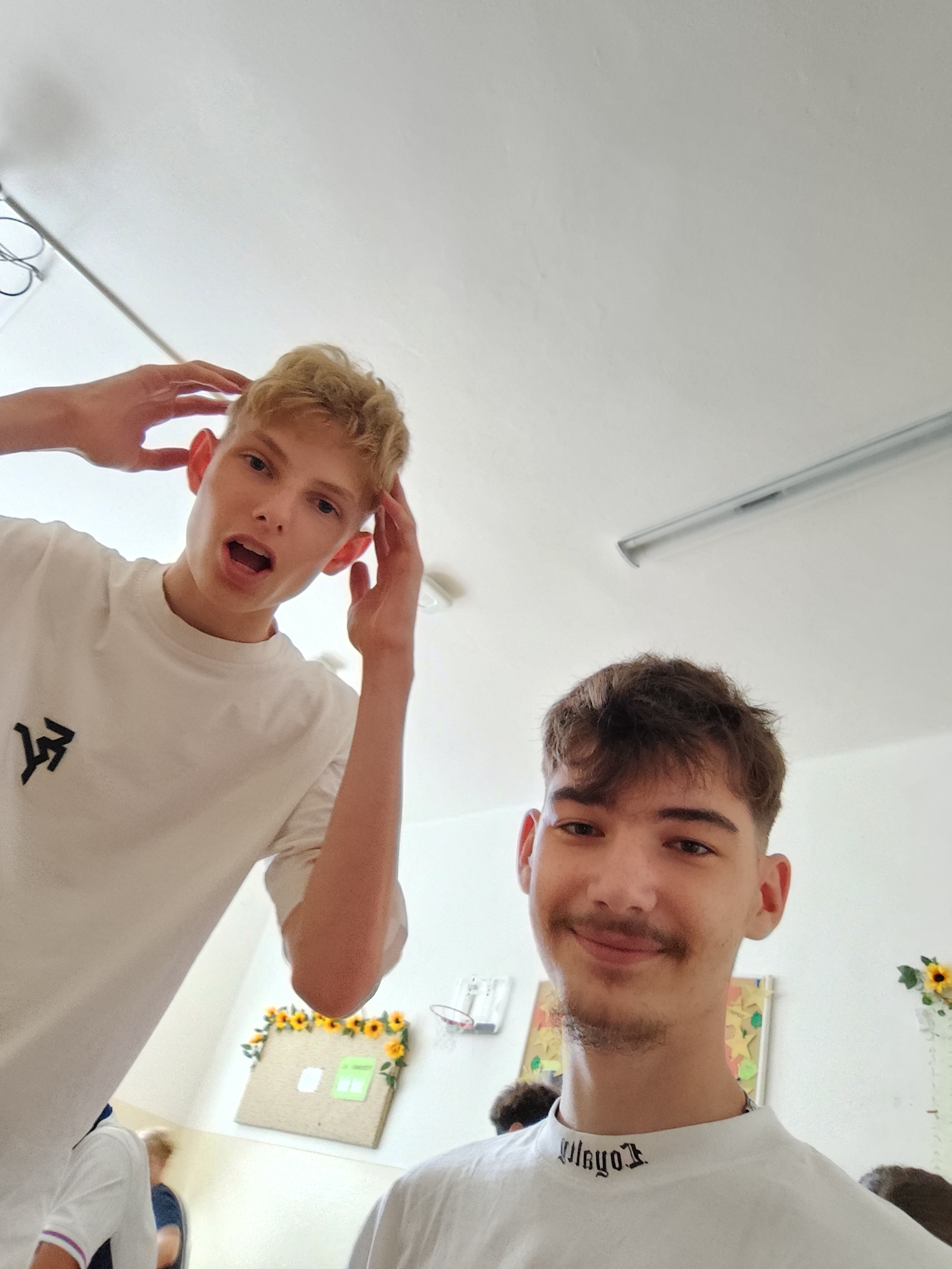 Dominik | Portfólio